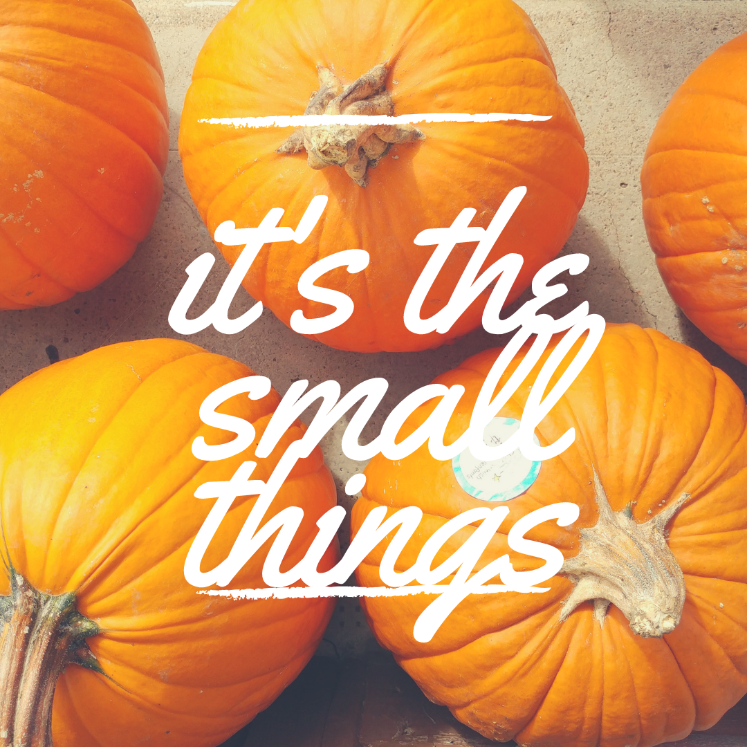 It's the Small Things that Matter – Life is Good Westport, Canada